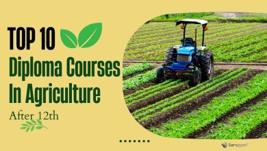 Top Diploma Courses in Agriculture for 2025-26